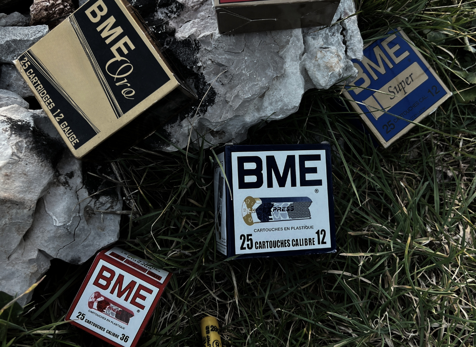 Brescia Middle East - Empowering Generations